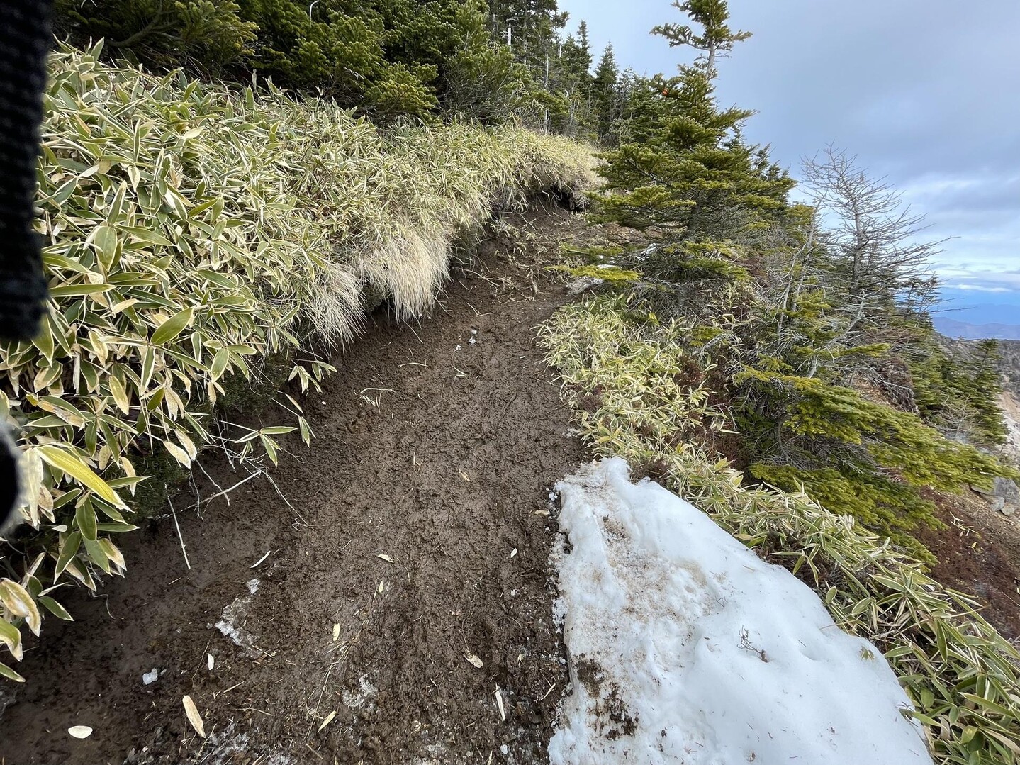 やまねこさんの投稿したフィールドメモ | YAMAP / ヤマップ