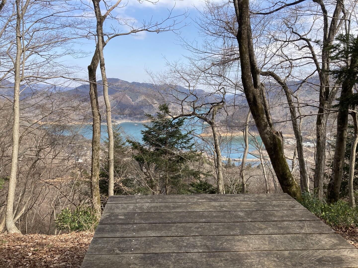 harryさんの投稿したフィールドメモ | YAMAP / ヤマップ