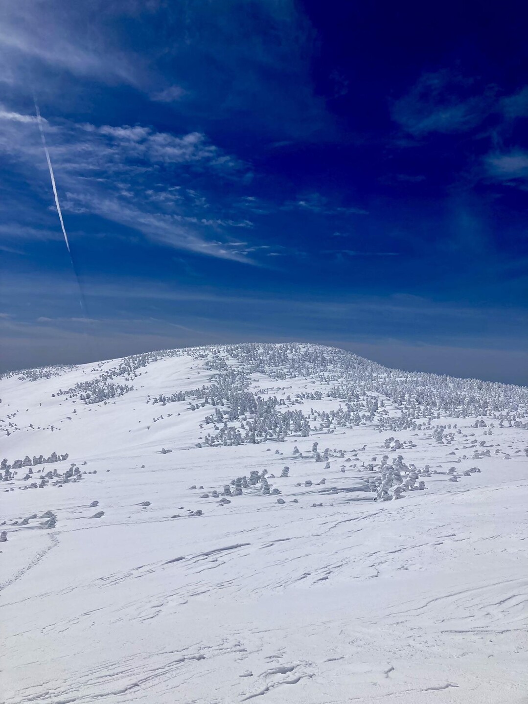 Last Chance This Winter, White Snow And Blue Sky in Mount Azuma / Leysinさんの吾妻山・一切経山の活動データ ...