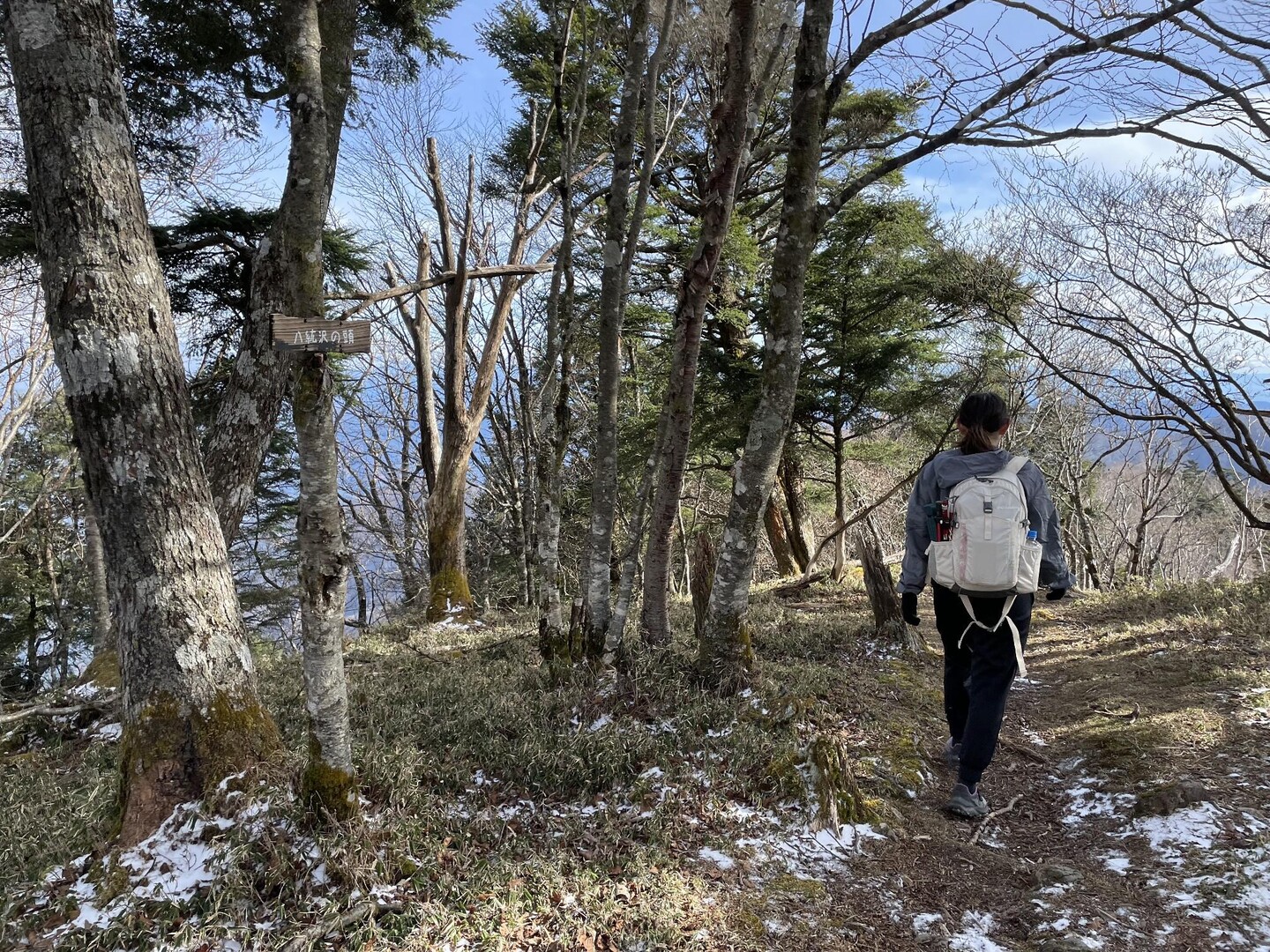 八紘嶺《山梨百》 / pankoさんの山伏・八紘嶺・笹山の活動日記 | YAMAP / ヤマップ