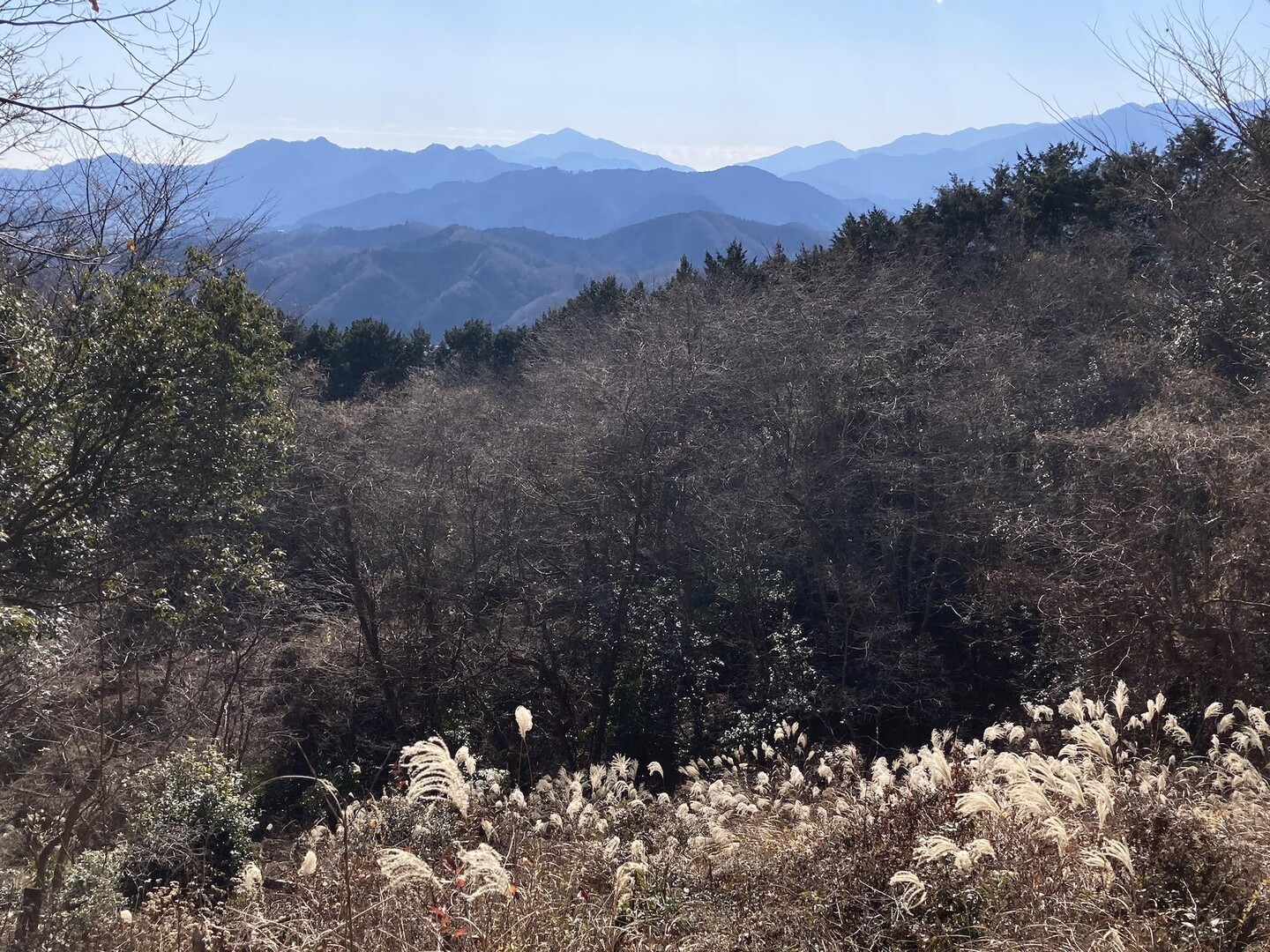 南高尾ハートルート / koyunisoさんの高尾山・陣馬山・景信山の活動データ | YAMAP / ヤマップ
