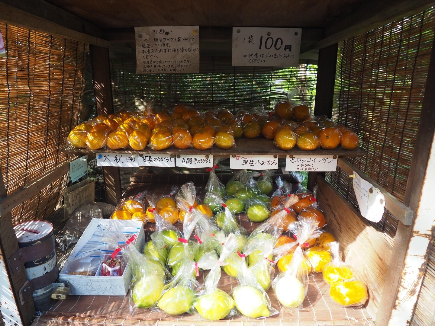 山の辺の道ショッピング🛒からの三輪山参拝登山⛩ / bonjourさんの三輪山・巻向山・龍王山の活動データ | YAMAP / ヤマップ