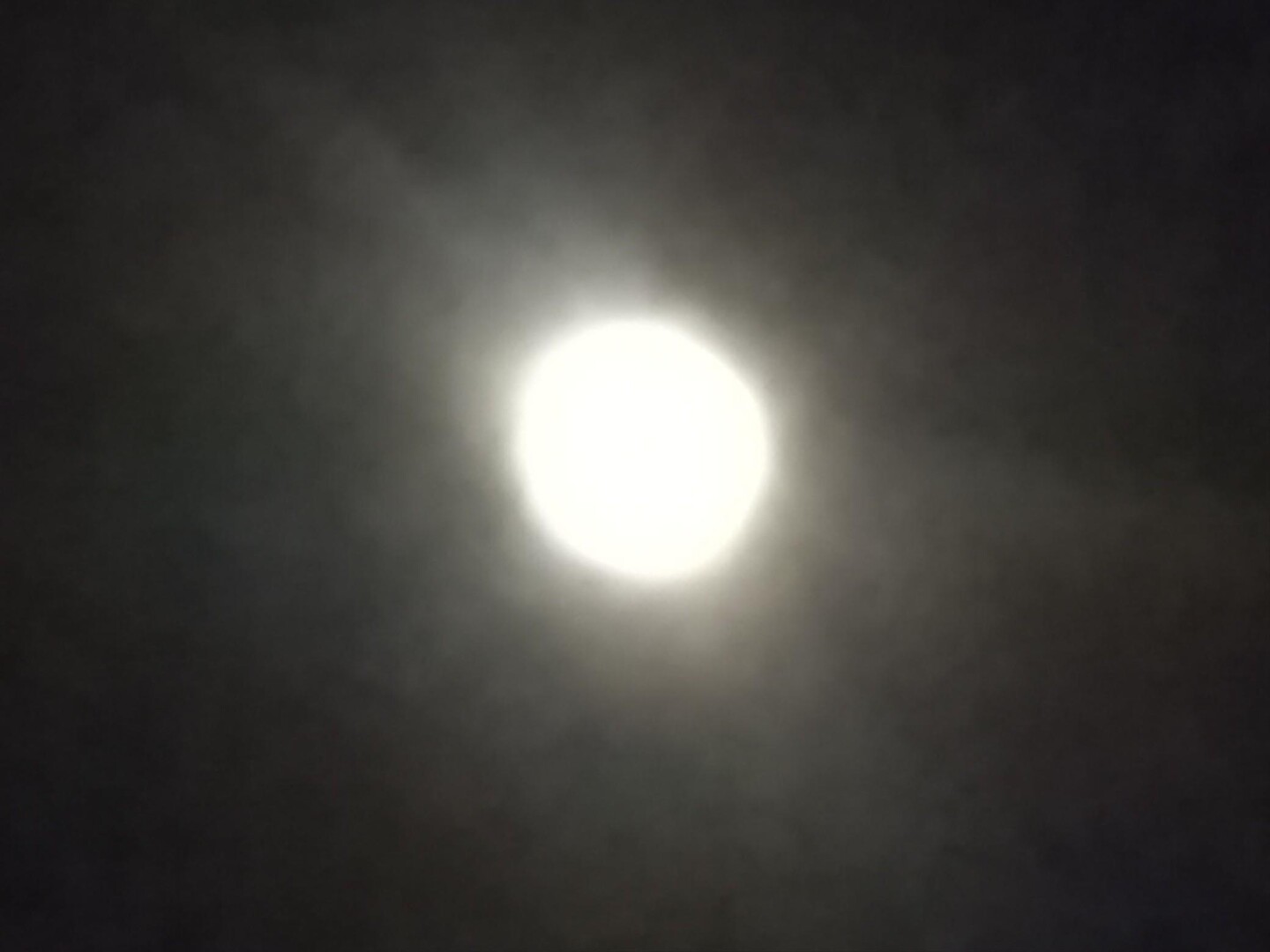 今日は、中秋の名月 で 🌕️まんまる... / yasuさんのモーメント | YAMAP / ヤマップ