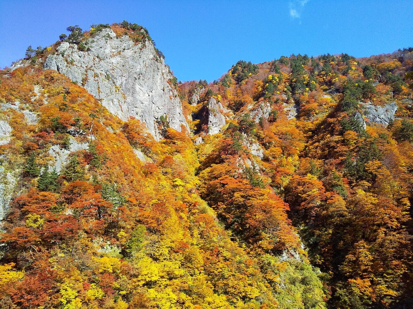 裏巻機渓谷で紅葉デート🍁🍂～2022/11/3🎌 / nao_🐔さんの巻機山・割引岳・金城山の活動データ | YAMAP / ヤマップ