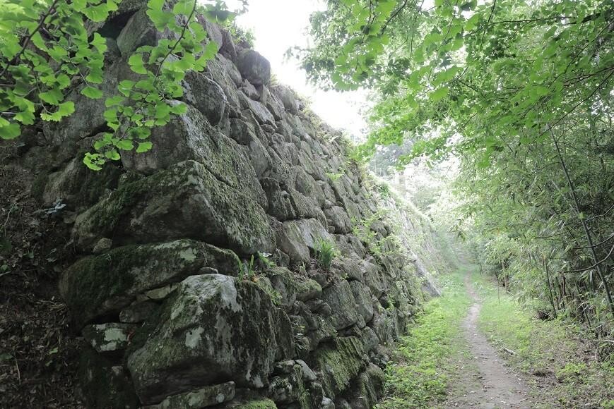 観音寺城 / n-betaさんの繖山（観音寺山）の活動データ | YAMAP / ヤマップ