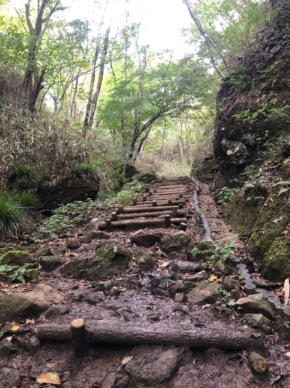 霊山 / yo-fuさんの霊山の活動データ | YAMAP / ヤマップ