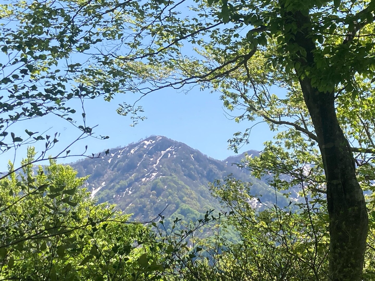 成ヶ峰：寺津ゲートから長尾根~砺倉~成ヶ峰~天池 / AOさんの高尾山・吉次山・順尾山の活動データ | YAMAP / ヤマップ