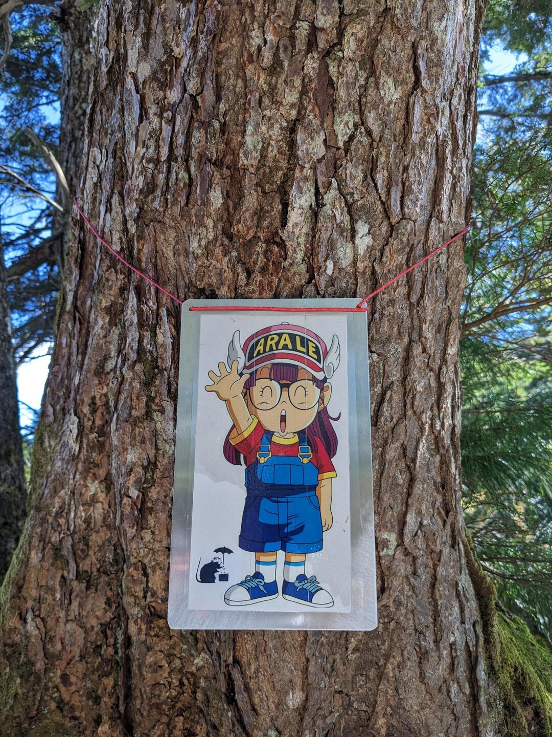 薬師岳 / gym 2さんの水晶岳・薬師岳・黒部五郎岳・鷲羽岳・三俣蓮華岳・湯俣の活動データ | YAMAP / ヤマップ