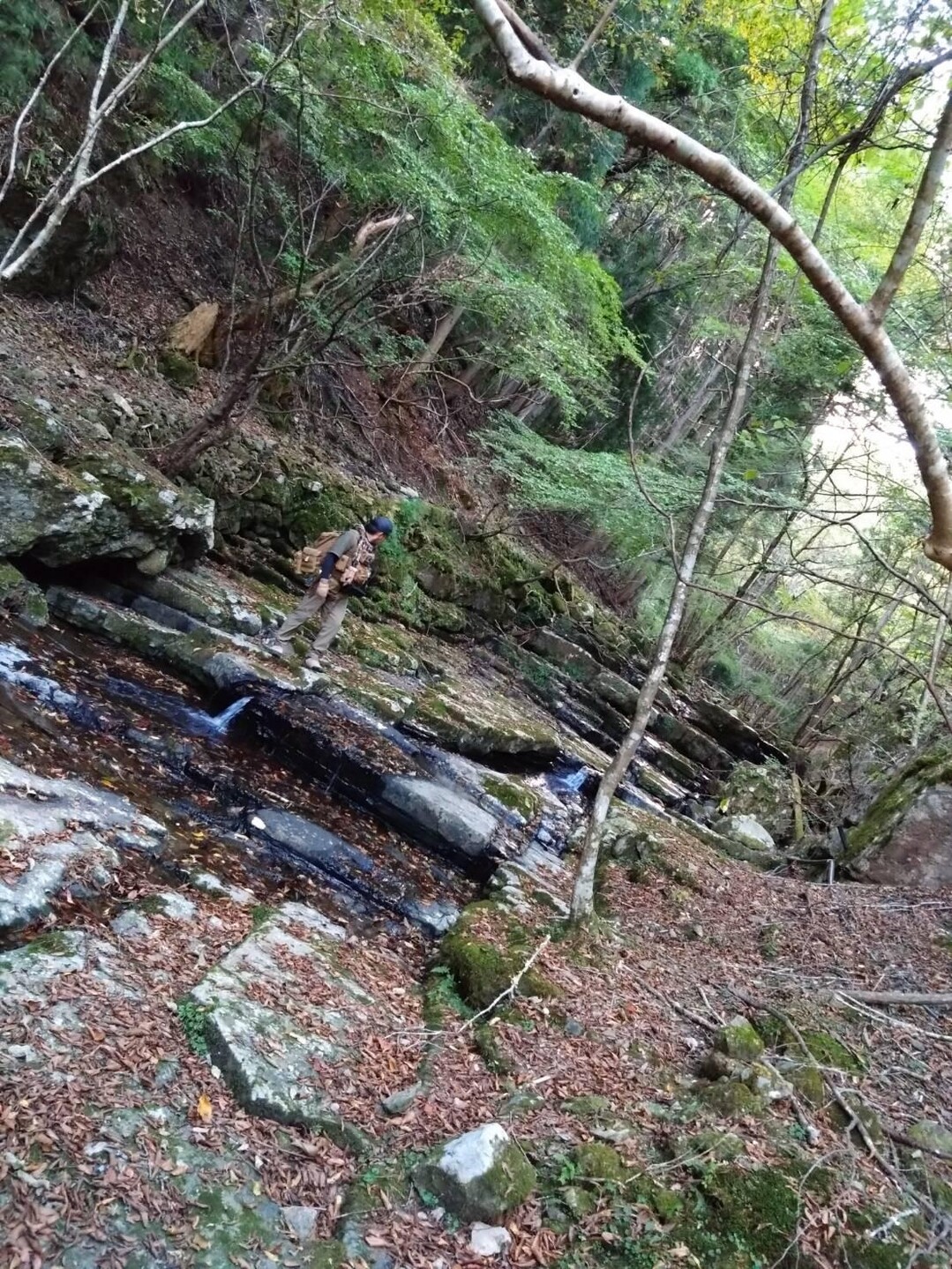 2023.10.29(日) 00:41 / 朝食ダンゴさんのモーメント | YAMAP / ヤマップ