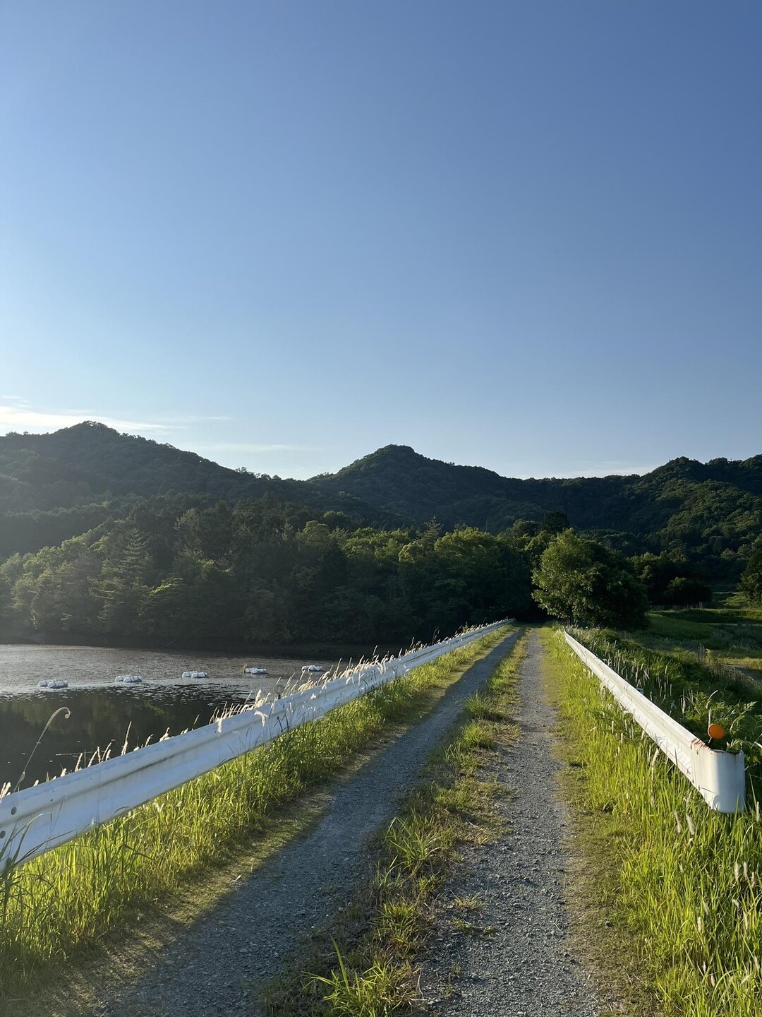 田古加山 / yattinさんの大明神山の活動データ | YAMAP / ヤマップ