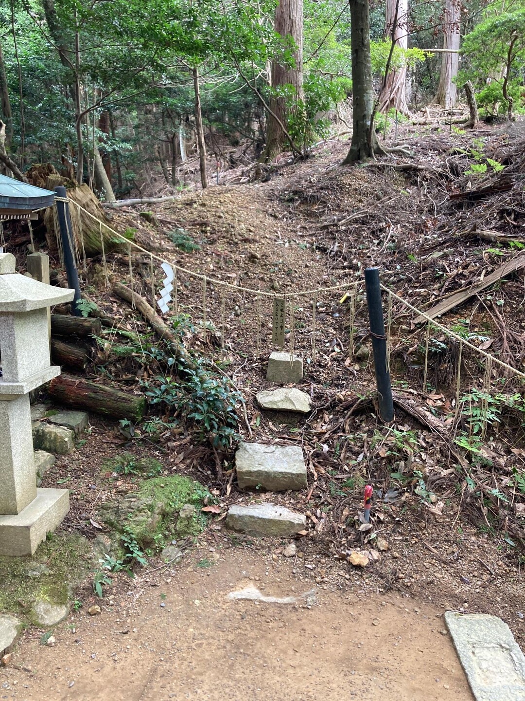 kaz330さんの投稿したフィールドメモ | YAMAP / ヤマップ