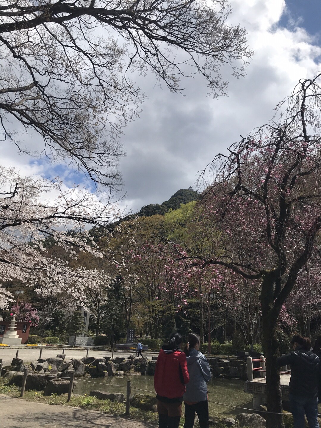 初 金華山🌸 / D51さんの金華山・洞山・舟伏山の活動データ | YAMAP / ヤマップ