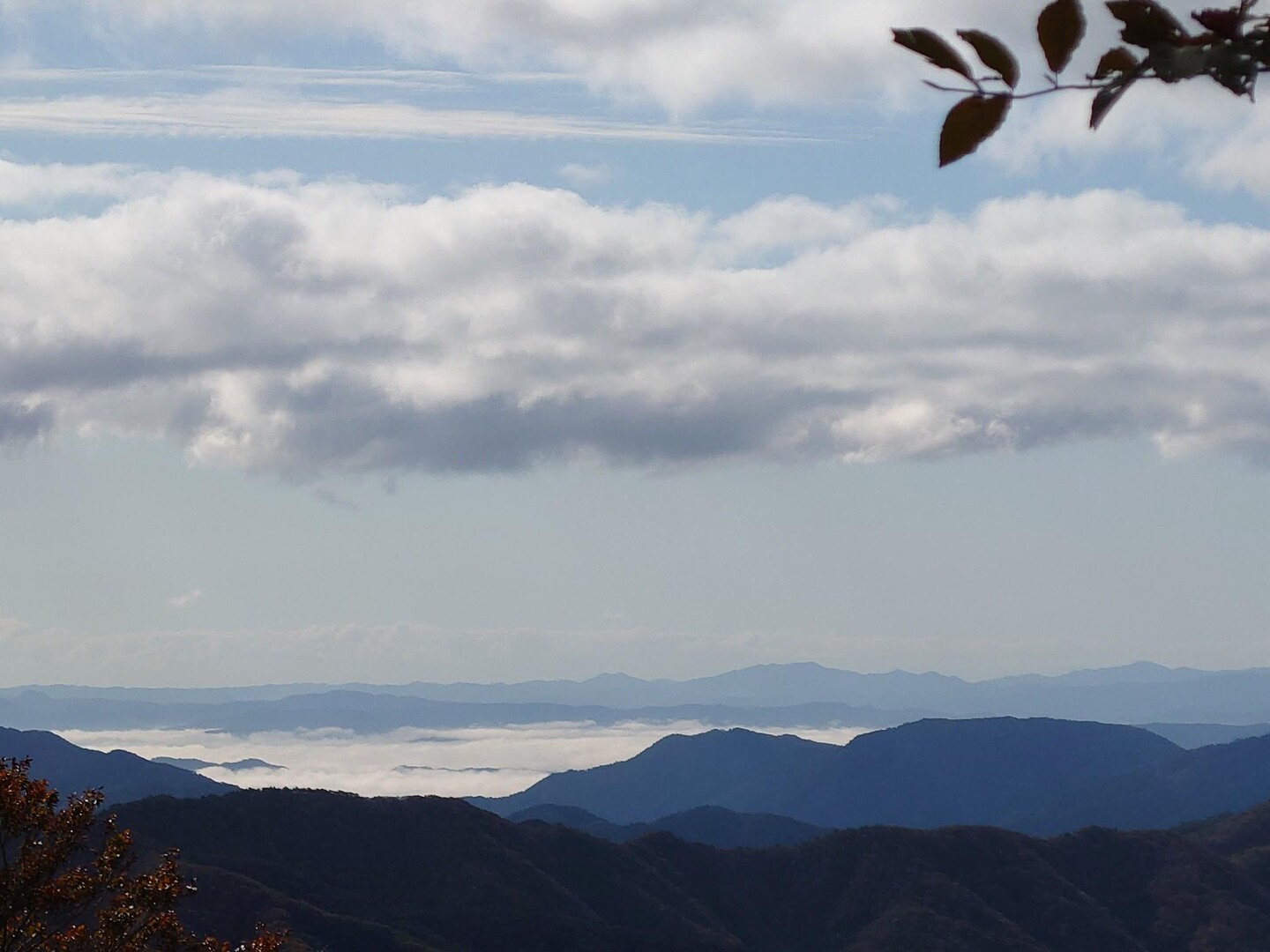 島根県民の森を起点に一周! / Rokuさんの大万木山・琴引山（弥山）・指谷山・鯛ノ巣山の活動データ | YAMAP / ヤマップ