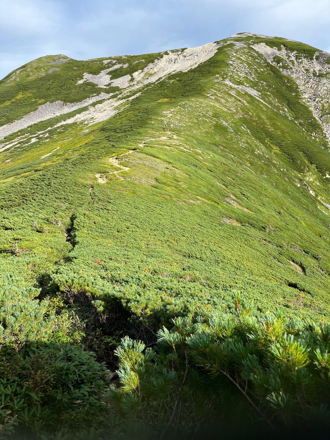 Meg Takaoさんの投稿したフィールドメモ | YAMAP / ヤマップ