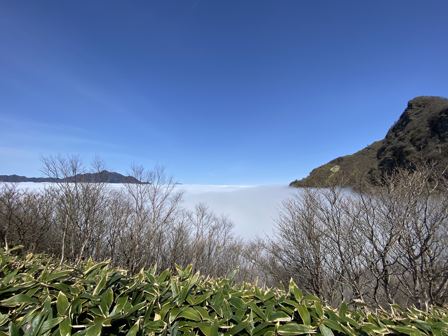 寒風山・笹ヶ峰 / あんれいさんの笹ヶ峰・寒風山・平家平の活動データ | YAMAP / ヤマップ