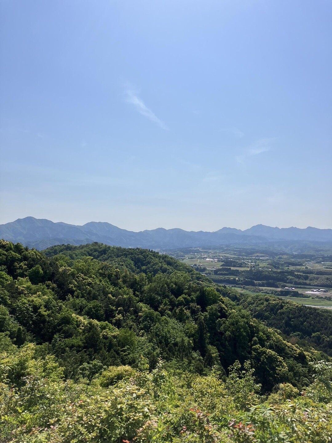 愛宕山 / SSさんの愛宕山の活動データ | YAMAP / ヤマップ