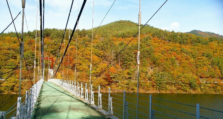 11月1日(1枚目～4枚目) 田瀬湖周辺... / aiさんのモーメント | YAMAP / ヤマップ