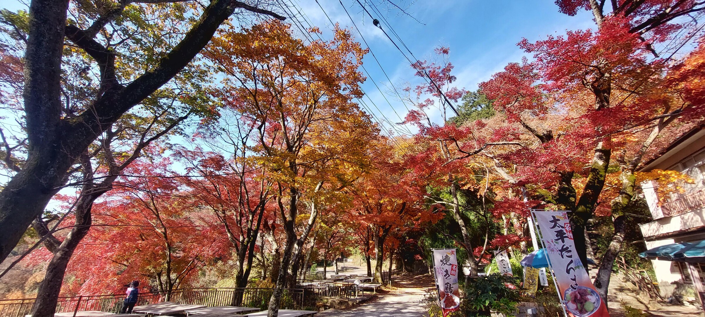 太平山・晃石山・青入山 / HALさんの三毳山の活動データ | YAMAP / ヤマップ