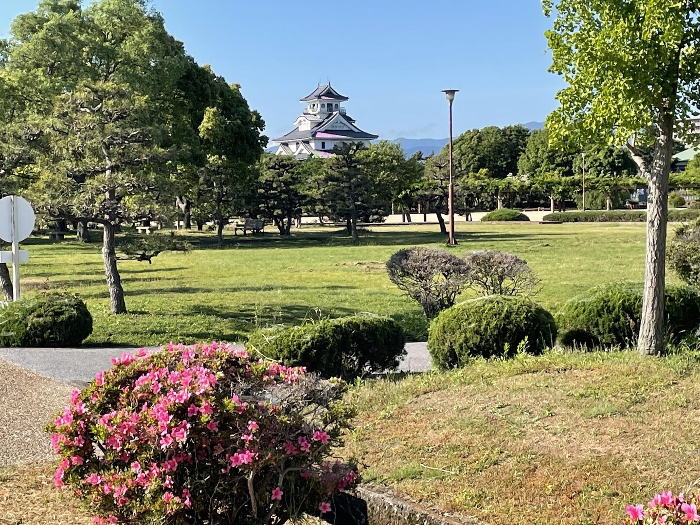 番外編 豊公園 / TAKさんのウォーキングの活動データ | YAMAP / ヤマップ