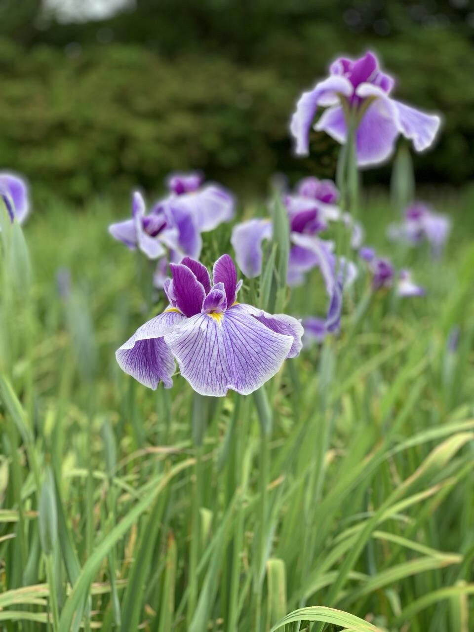 Kumiのページ | YAMAP / ヤマップ