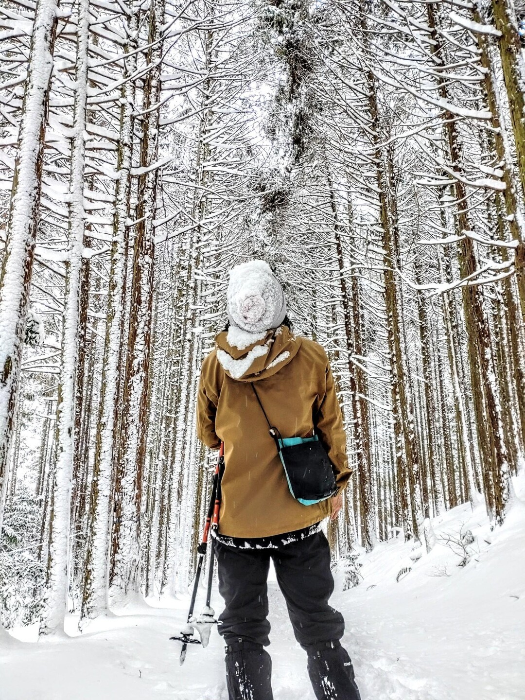 莇ヶ岳・弟見山-2023-12-22 / emu626さんの莇ヶ岳・弟見山の活動データ | YAMAP / ヤマップ