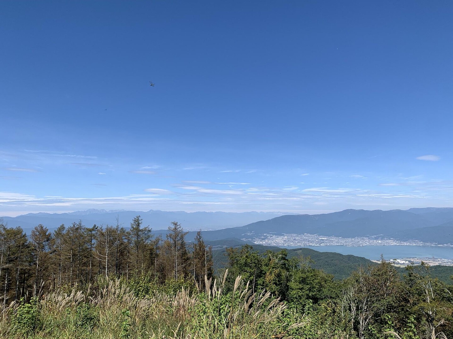 守屋神社〜奥宮〜守屋山東峰〜西峰〜立石口 / jucca🍎さんの守屋山の活動日記 | YAMAP / ヤマップ