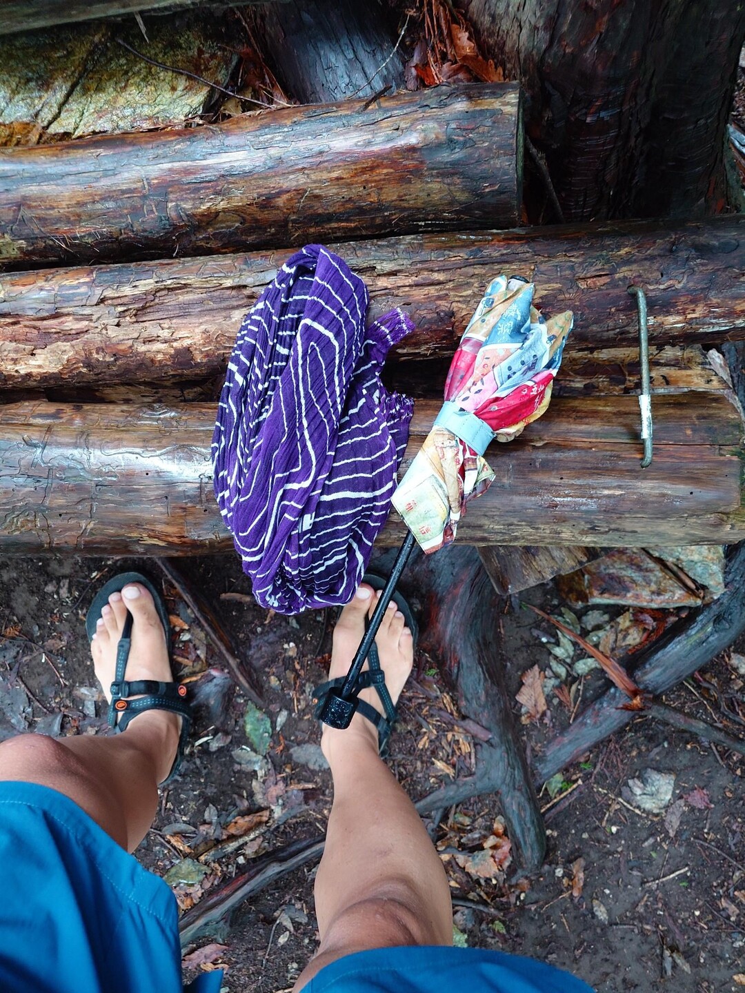 雨の村松ピストン / ta2さんの鳴神山・吾妻山の活動データ | YAMAP / ヤマップ