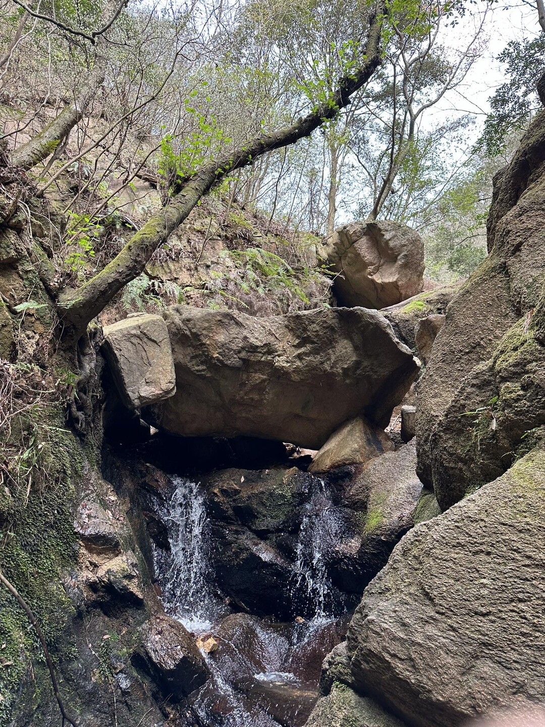 芦屋地獄谷へGO‼️ / ryosui_ さんの六甲山・長峰山・摩耶山の活動データ | YAMAP / ヤマップ