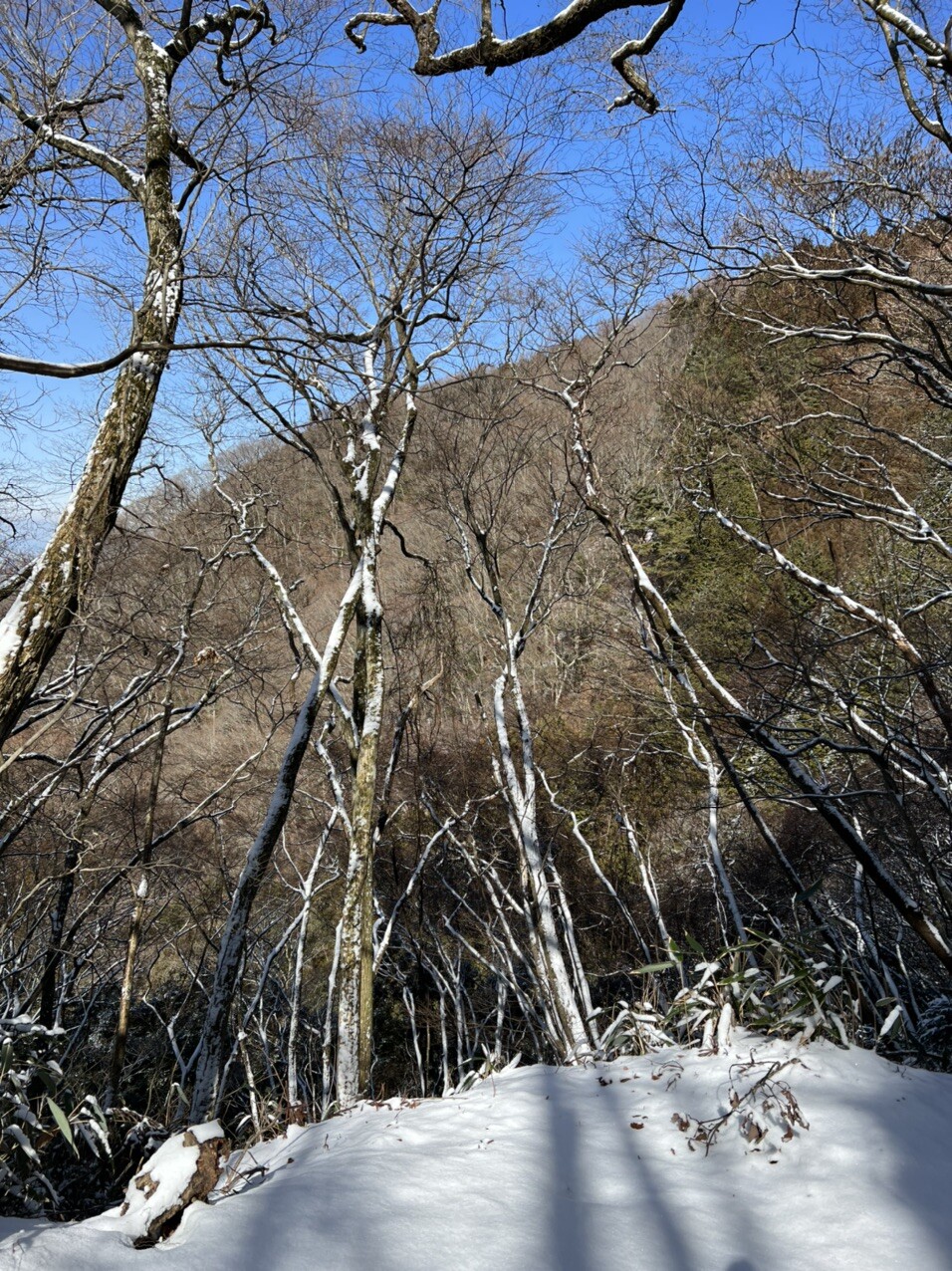 pi〜🐣のページ | YAMAP / ヤマップ