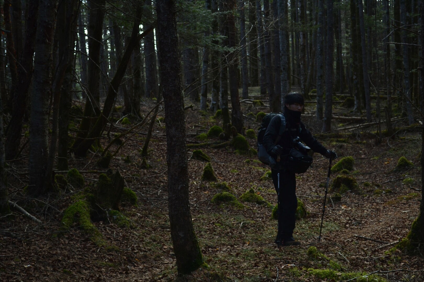 n-betaのページ | YAMAP / ヤマップ