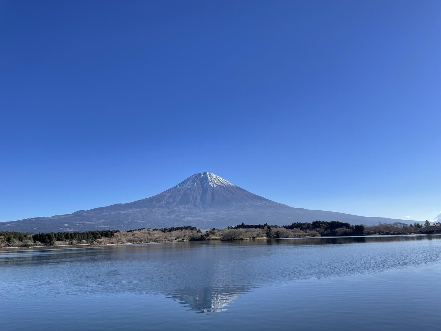 天子ヶ岳183・長者ヶ岳239 / だいすけさんの長者ヶ岳・天子ヶ岳の活動データ | YAMAP / ヤマップ
