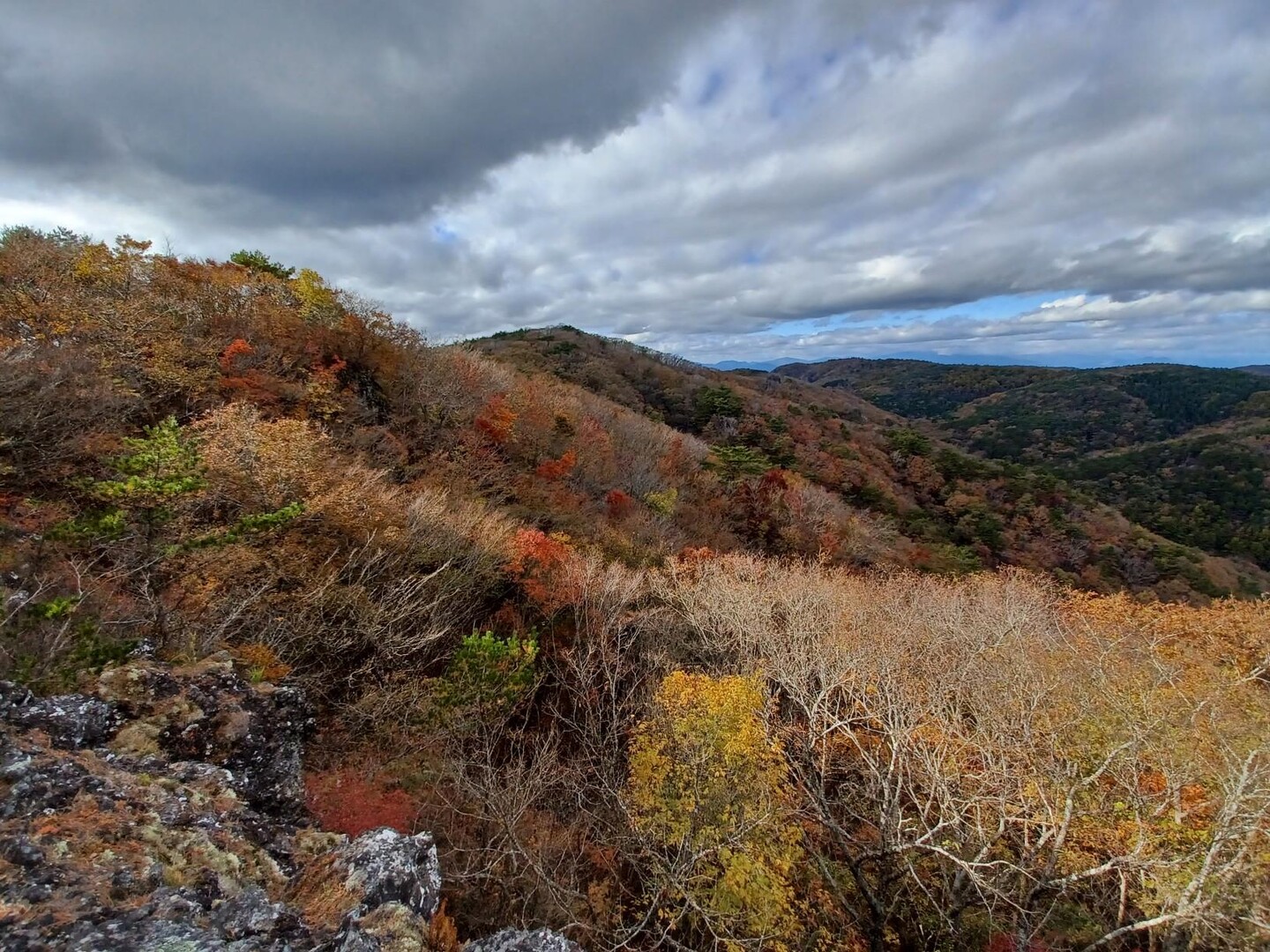 秋の霊山🍁気ままにハイキング / No-036さんの霊山の活動データ | YAMAP / ヤマップ