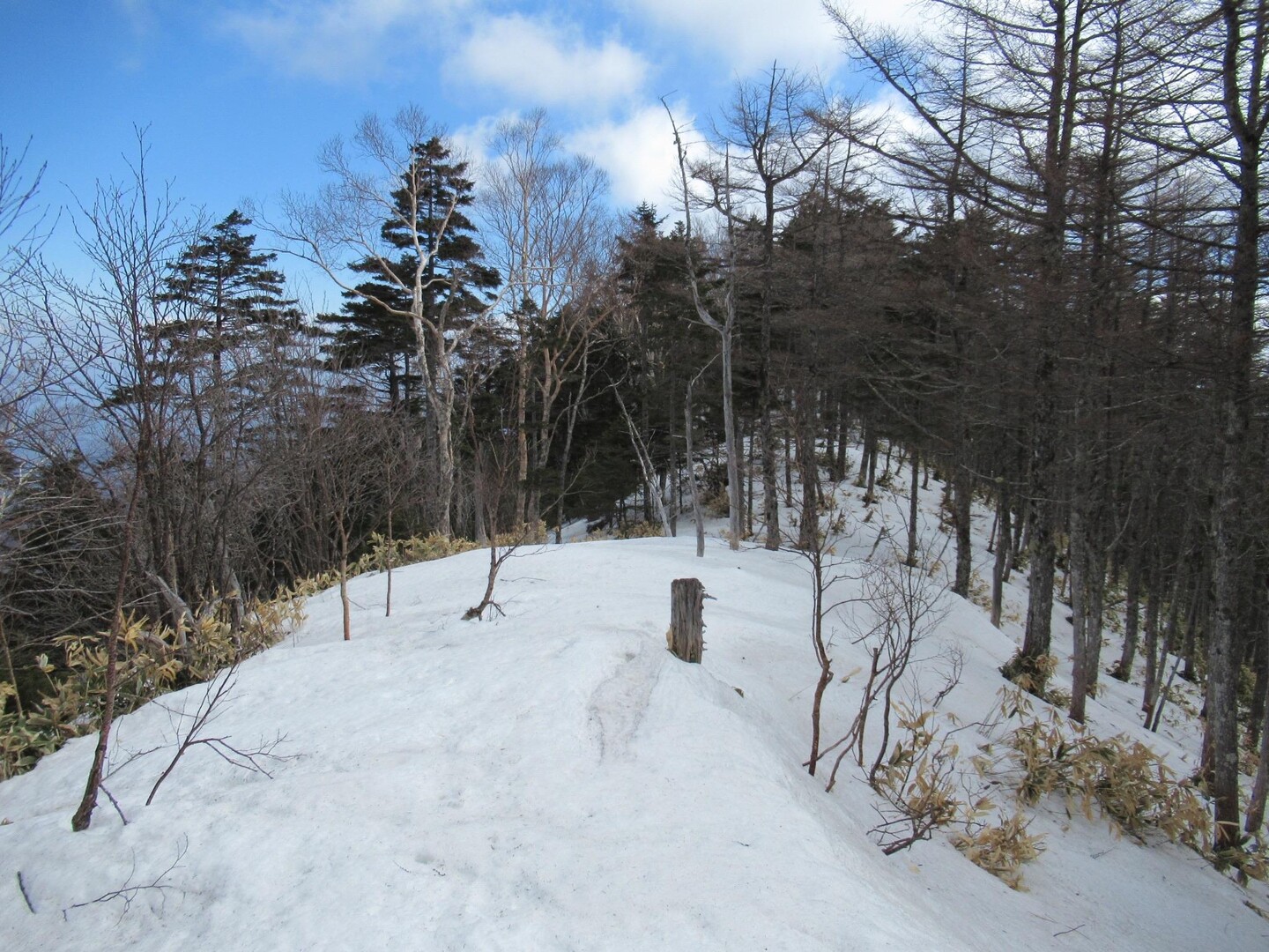 黒沢山 / simさんの経ヶ岳・坊主岳の活動データ | YAMAP / ヤマップ