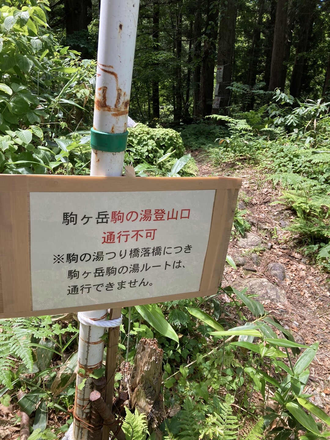 越後駒ヶ岳・八海山・荒沢岳-2022-07-01 / マキシーさんの越後駒ヶ岳・八海山・中ノ岳の活動データ | YAMAP / ヤマップ