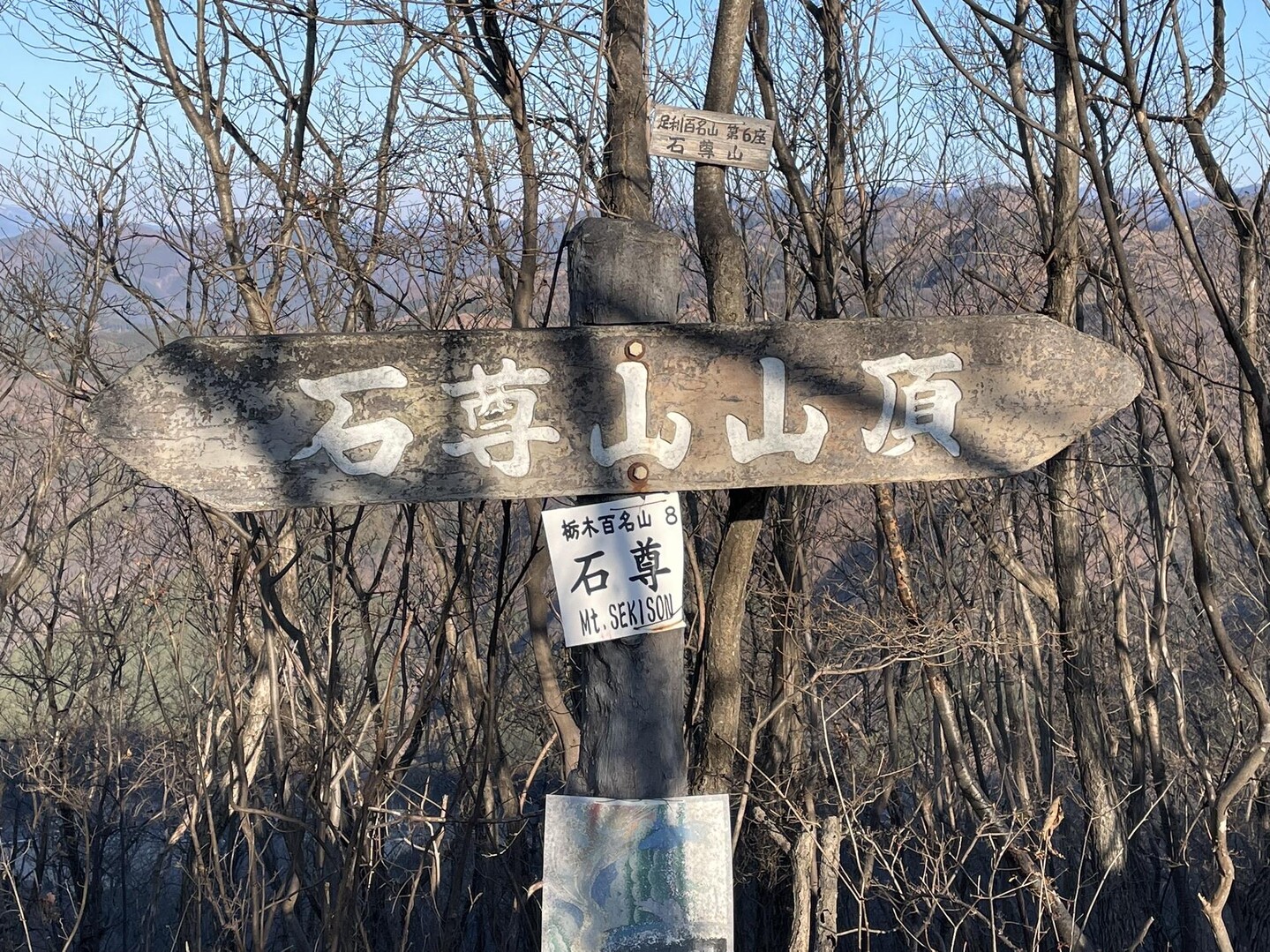 石尊山・深高山 / Shinさんの両崖山・仙人ヶ岳・石尊山の活動データ | YAMAP / ヤマップ