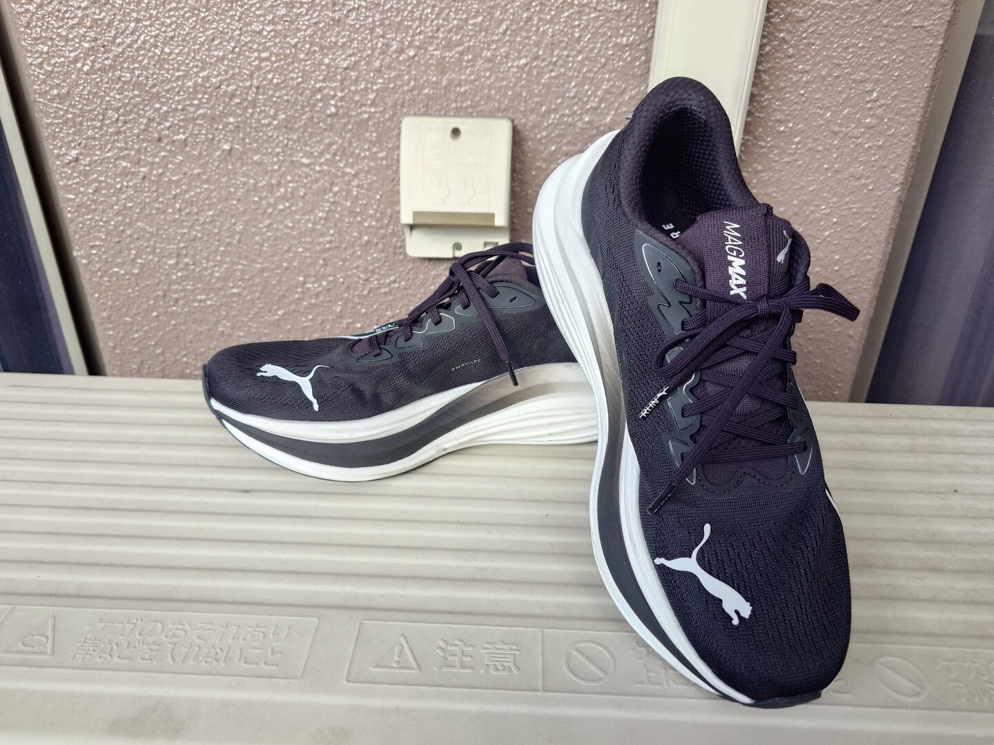 2024年はどんな1年でしたか？ 僕は初... / shinさんのモーメント | YAMAP / ヤマップ