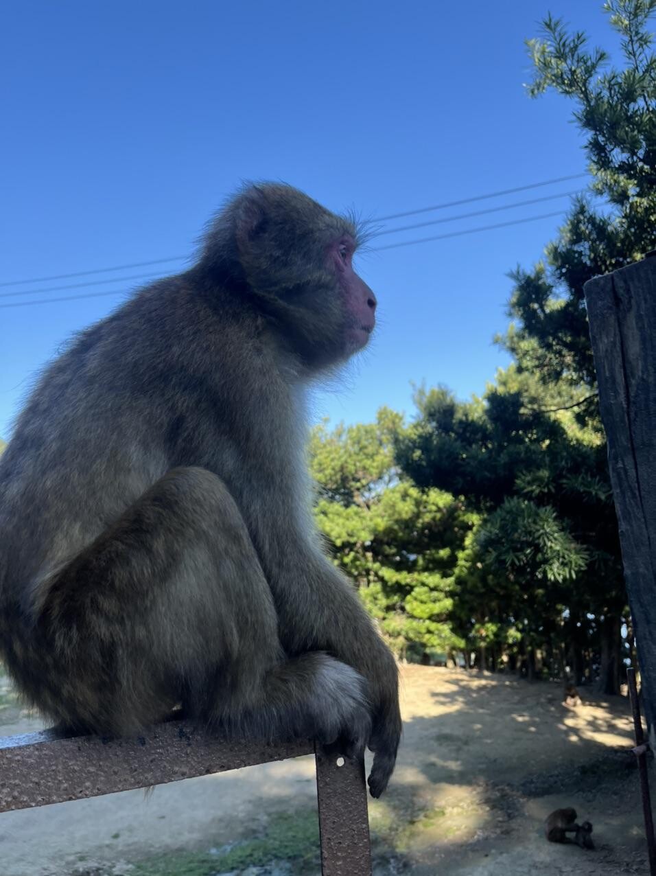 taka_monkeyのページ | YAMAP / ヤマップ