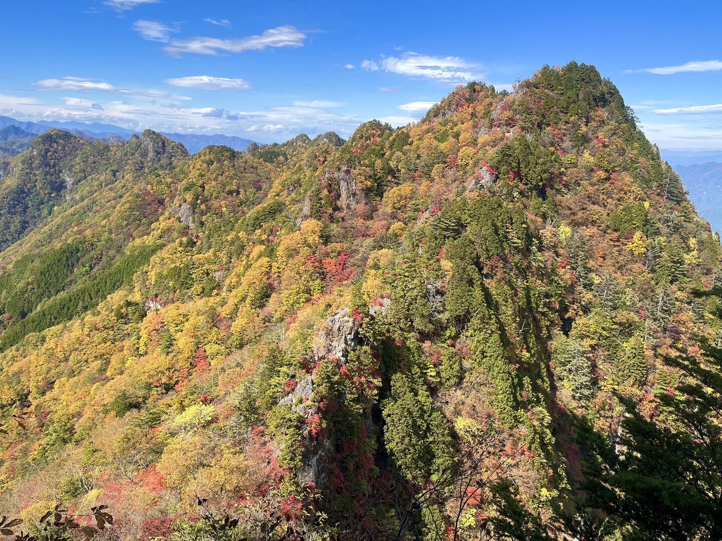 両神山 尾之内渓谷、八丁尾根、天武将尾根 / fumさんの両神山・諏訪山・二子山の活動データ | YAMAP / ヤマップ