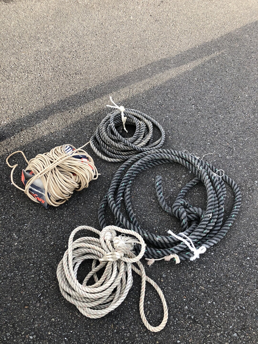 🪢ロープ設置：坊津アルプス 丸木崎展望... / chiitaさんのモーメント | YAMAP / ヤマップ