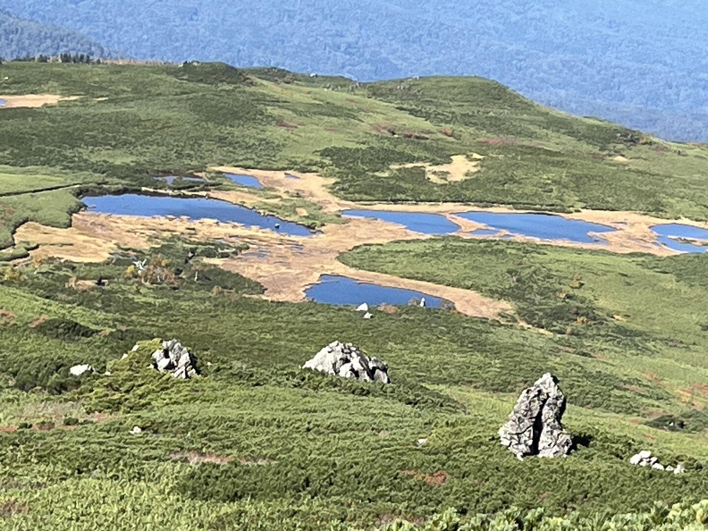 1591ピーク / ナンプスさんの大雪山系・旭岳・トムラウシの活動データ | YAMAP / ヤマップ