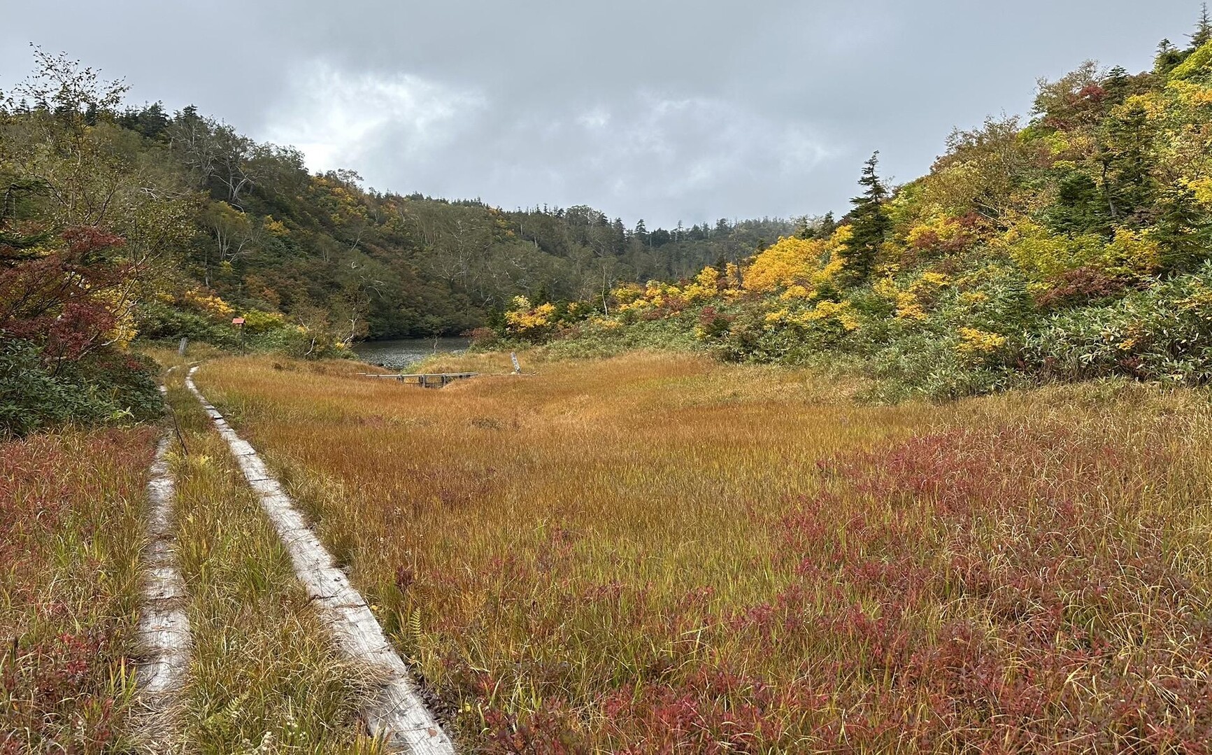 紅葉の白馬乗鞍〜風吹大池さんぽ / miさんの雪倉岳・朝日岳・風吹岳の活動データ | YAMAP / ヤマップ