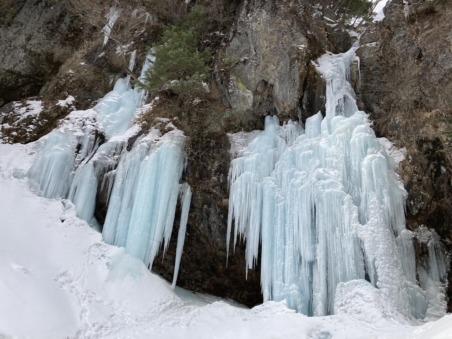 日光 スノーハイク / BONDIさんのウォーキングの活動データ | YAMAP / ヤマップ
