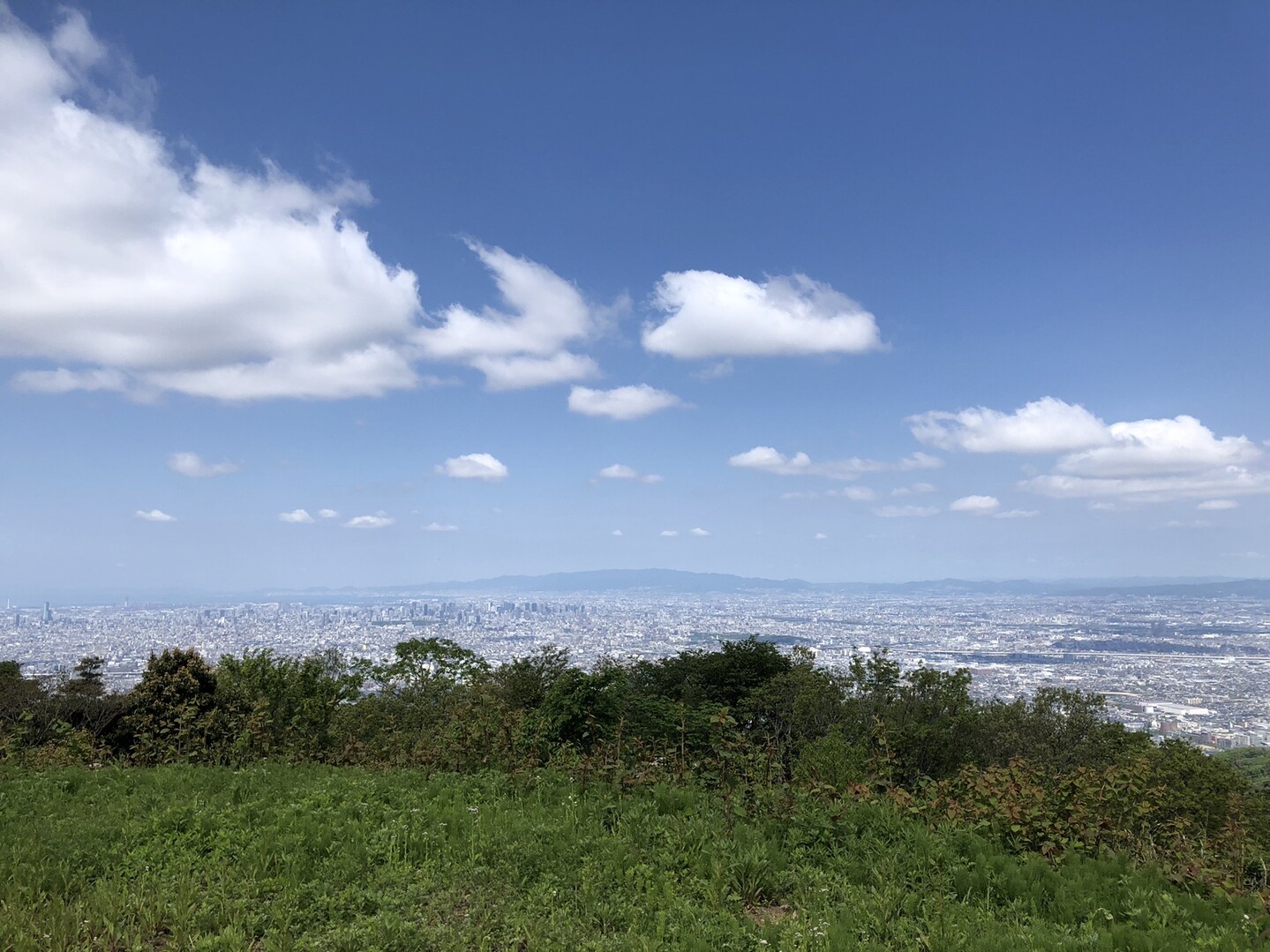 生駒山地縦走 / sawaさんの交野山・国見山の活動データ | YAMAP / ヤマップ