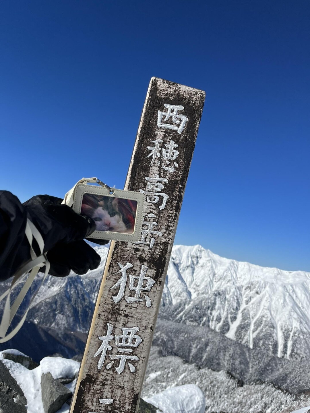 西穂丸山・西穂独標・なっくんと共にR5-3(通算158) / なっくんさんの槍ヶ岳・穂高岳・上高地の活動データ | YAMAP / ヤマップ