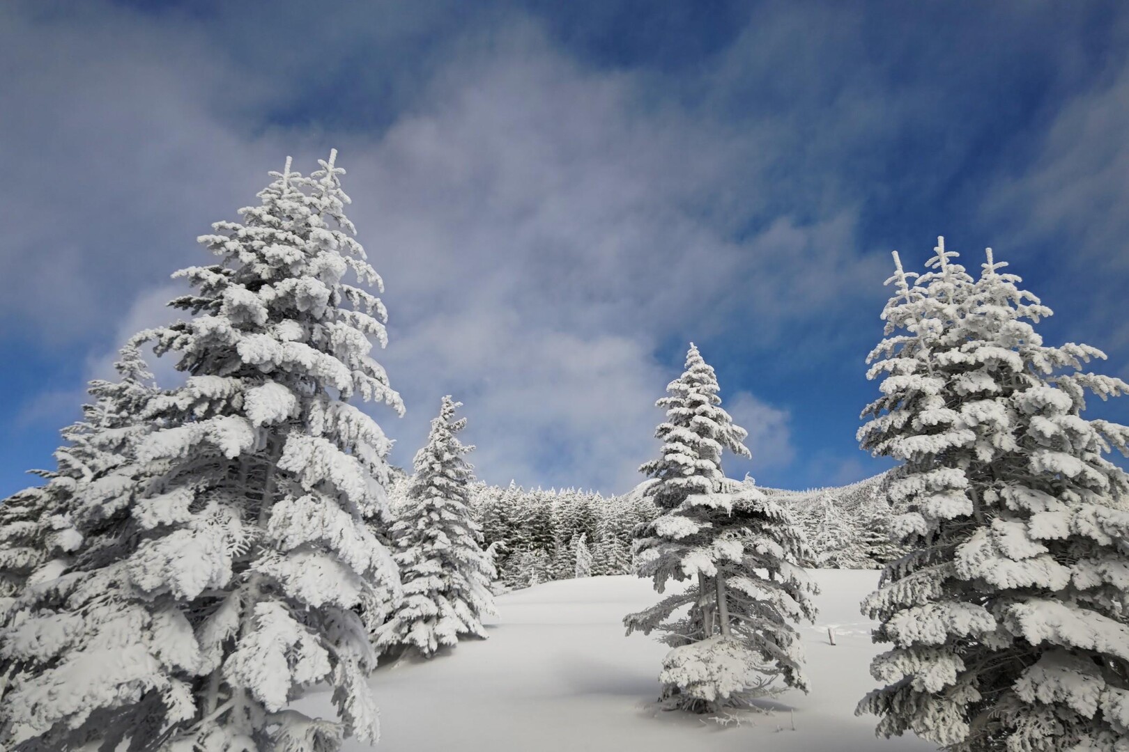 立春に極寒の北横岳へ🏔 / Y-Yuccaさんの蓼科山・横岳・縞枯山の活動データ | YAMAP / ヤマップ