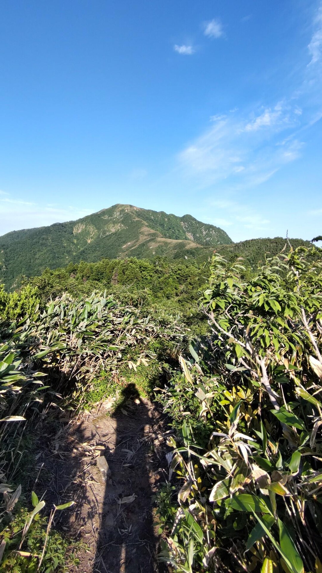 金草岳・冠山・白倉岳・布滝ノ頭 / モンチGf🙊さんの冠山・金草岳の活動データ | YAMAP / ヤマップ