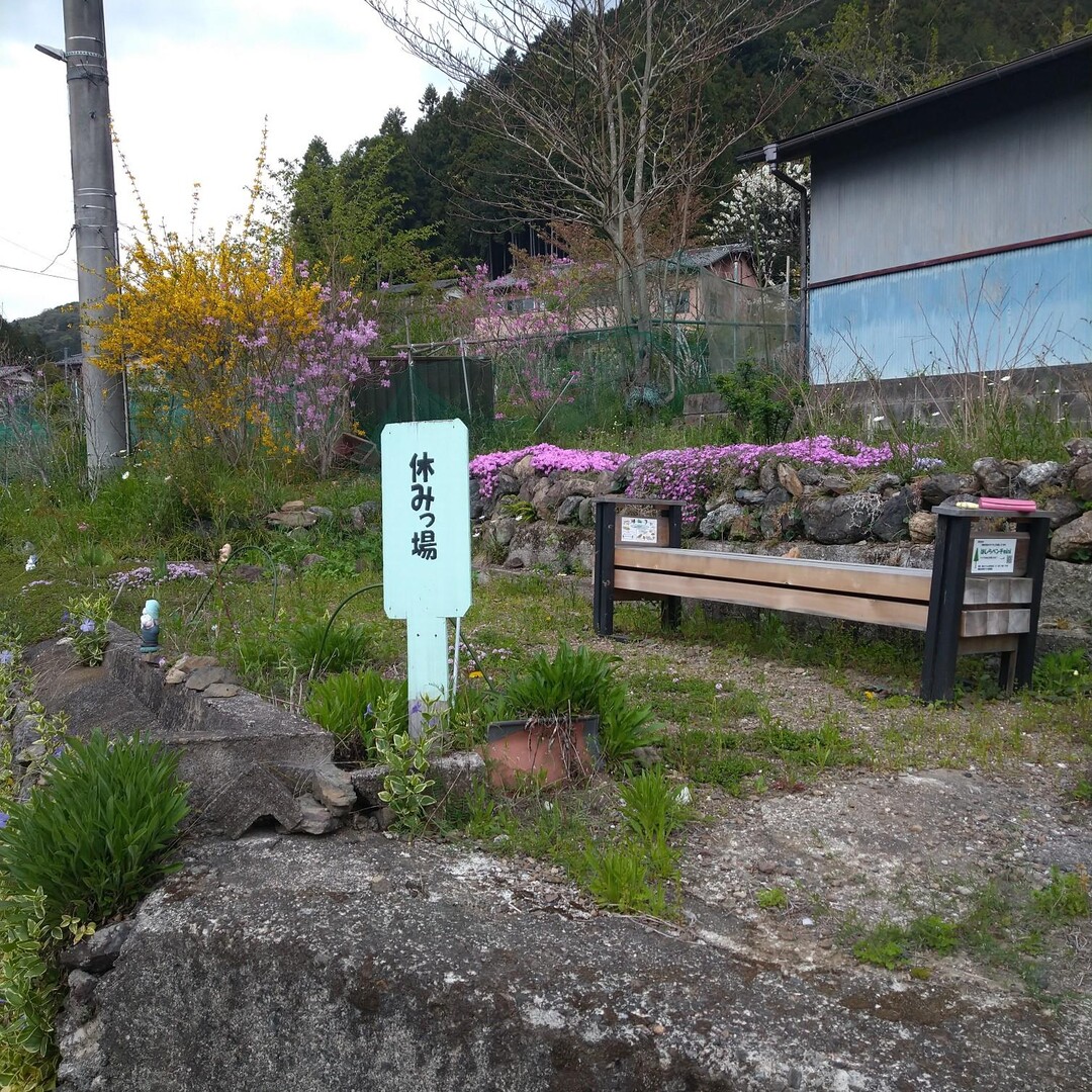 naotoさんの投稿したフィールドメモ | YAMAP / ヤマップ