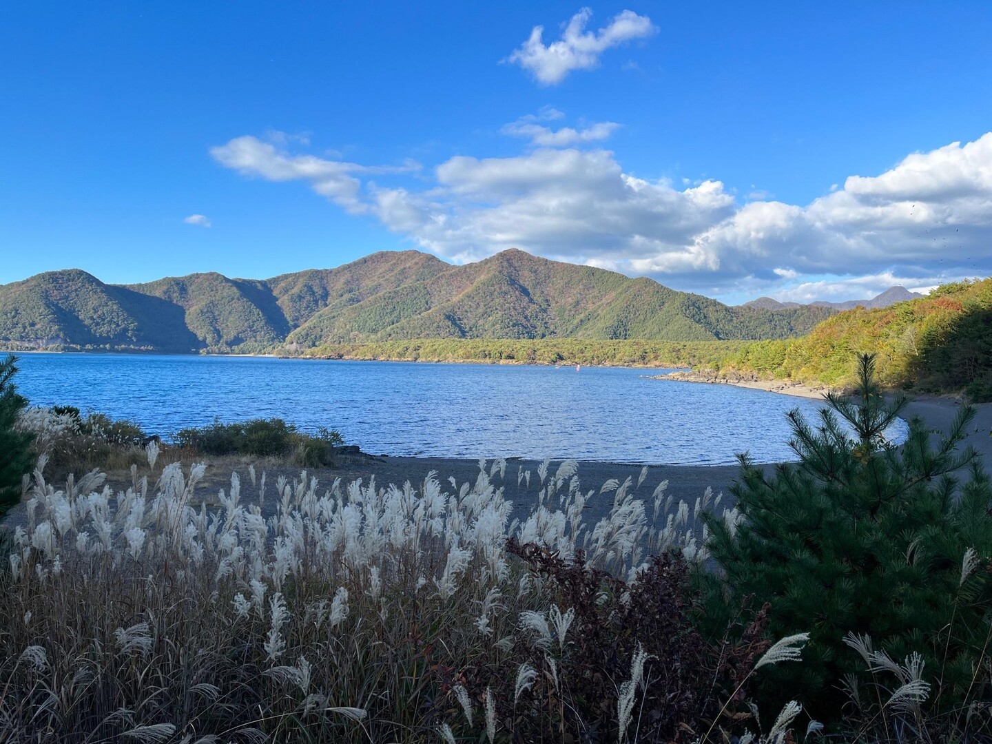 竜ヶ岳 / twさんの毛無山・雨ヶ岳・竜ヶ岳の活動データ | YAMAP / ヤマップ