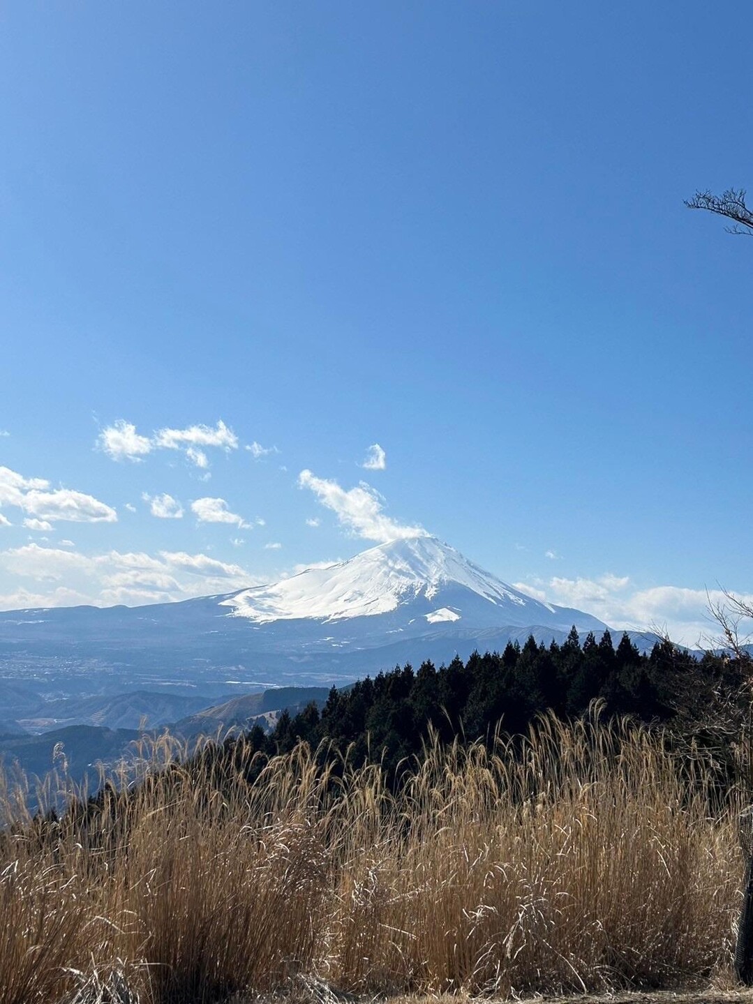 シダンゴ山・ダルマ沢ノ頭・細尾山・桜丸・フトウ山・西ヶ尾・太尾山・高松山 / namさんの高松山・大野山の活動データ | YAMAP / ヤマップ