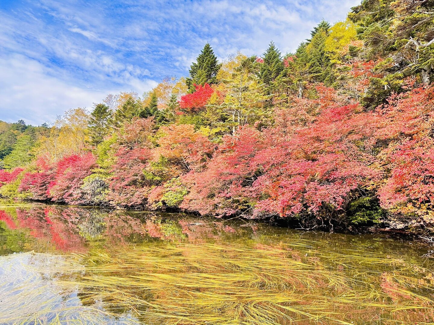 ニュウ・中山 / Kobayashiさんの八ヶ岳（赤岳・硫黄岳・天狗岳）の活動データ | YAMAP / ヤマップ